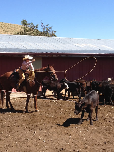 Beginner Ranch Roping Clinic by Ed Dabney Gentle Horsemanship